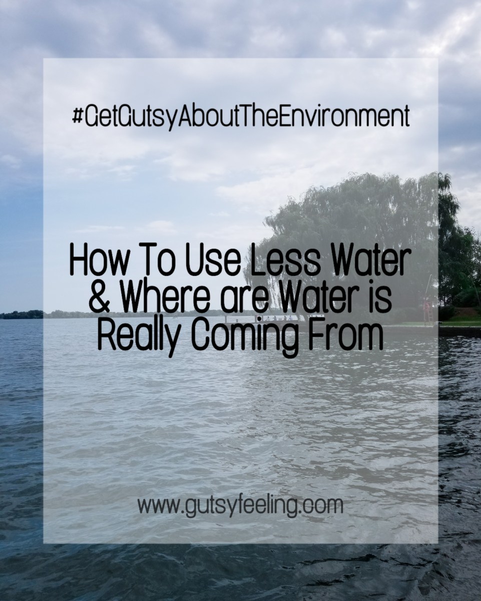 GET GUTSY ABOUT THE ENVIRONMENT: HOW TO USE LESS WATER AND WHERE THE ...